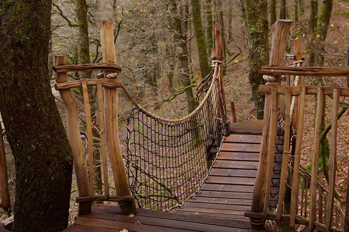 Two Night Tree House Escape for Two | Activity Superstore