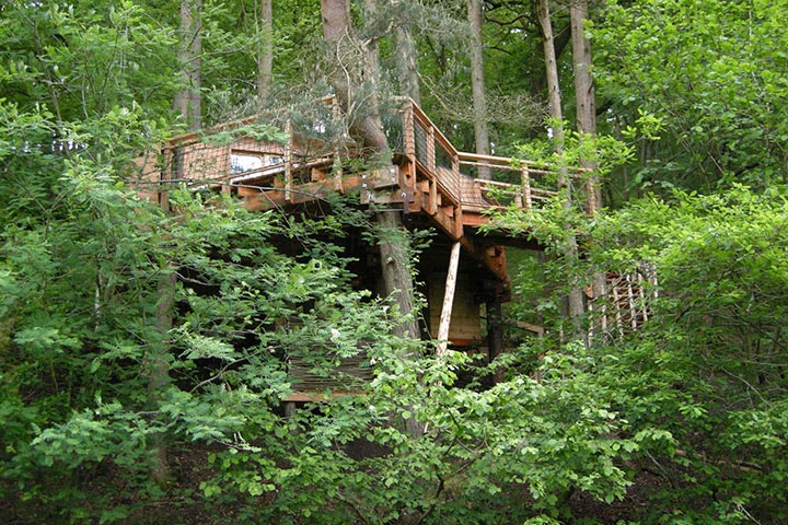 Two Night Tree House Escape for Two | Activity Superstore