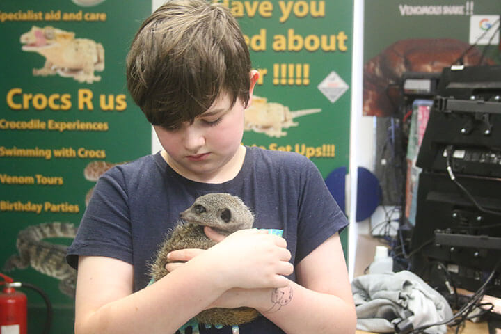 Meerkat Experience for Two | Activity Superstore