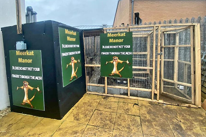 Meerkat Experience for Two | Activity Superstore