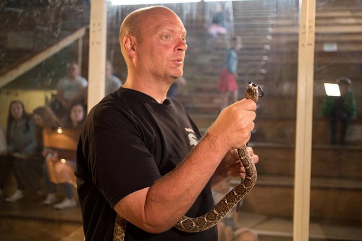 Venomous Snake Show | Activity Superstore
