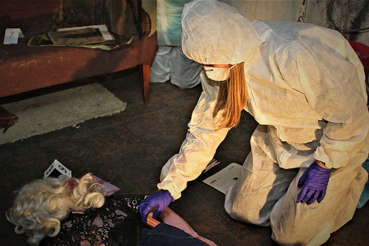 CSI Experience | Activity Superstore