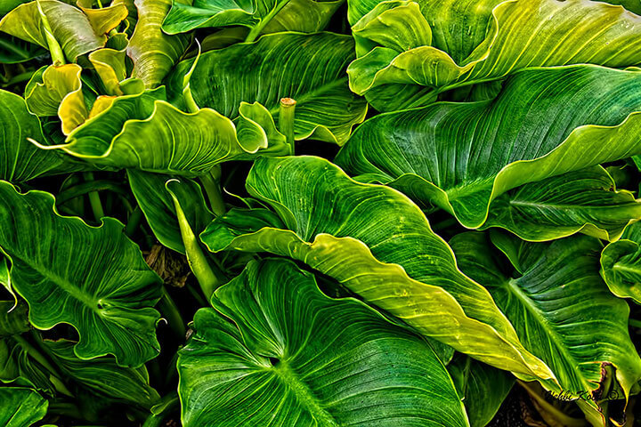 Discover Photography for One | Activity Superstore